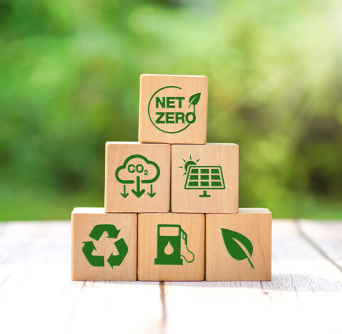 Qué hacemos | Aliara Energía